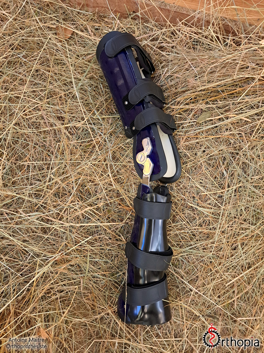 Attelle Articulée Equine - Orthopia-Prothèses | Prothèses pour animaux
