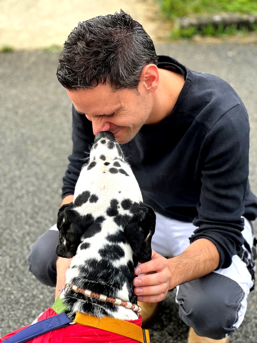 Prothèse postérieure pour chien - Orthopia-Prothèses | Prothèses pour animaux